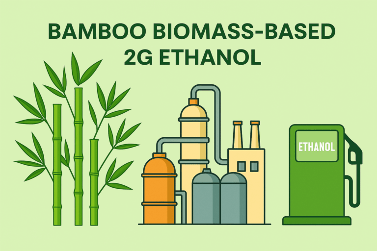Bamboo Biomass-Based 2G Ethanol in India: Unlocking the Future of ...